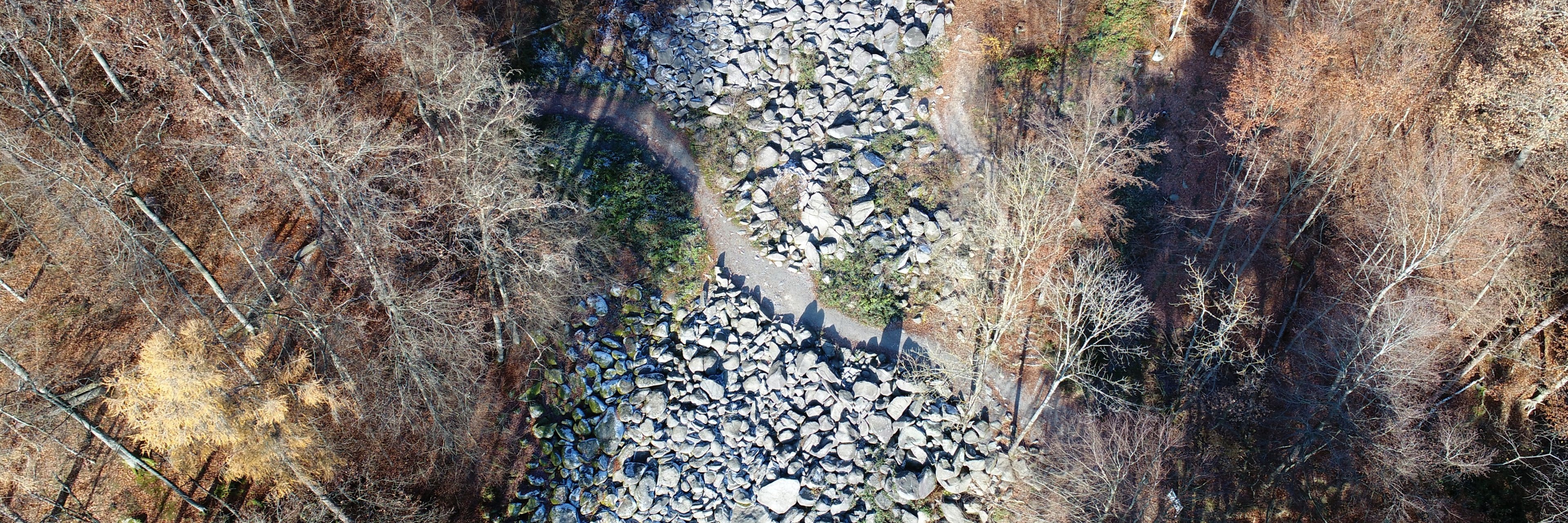 Geopark | Felsenmeer Informationszentrum